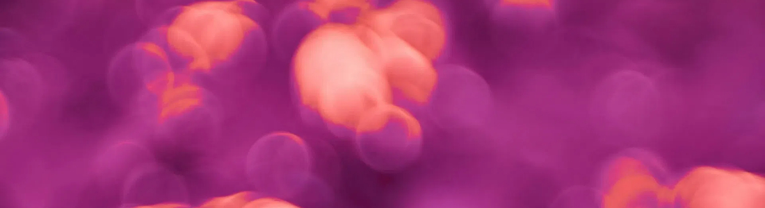 How to Automatically Add Inbox Labels in Gmail Using AITable.ai