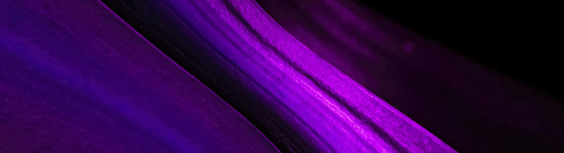 Build an Automated Document Management System with AITable.ai